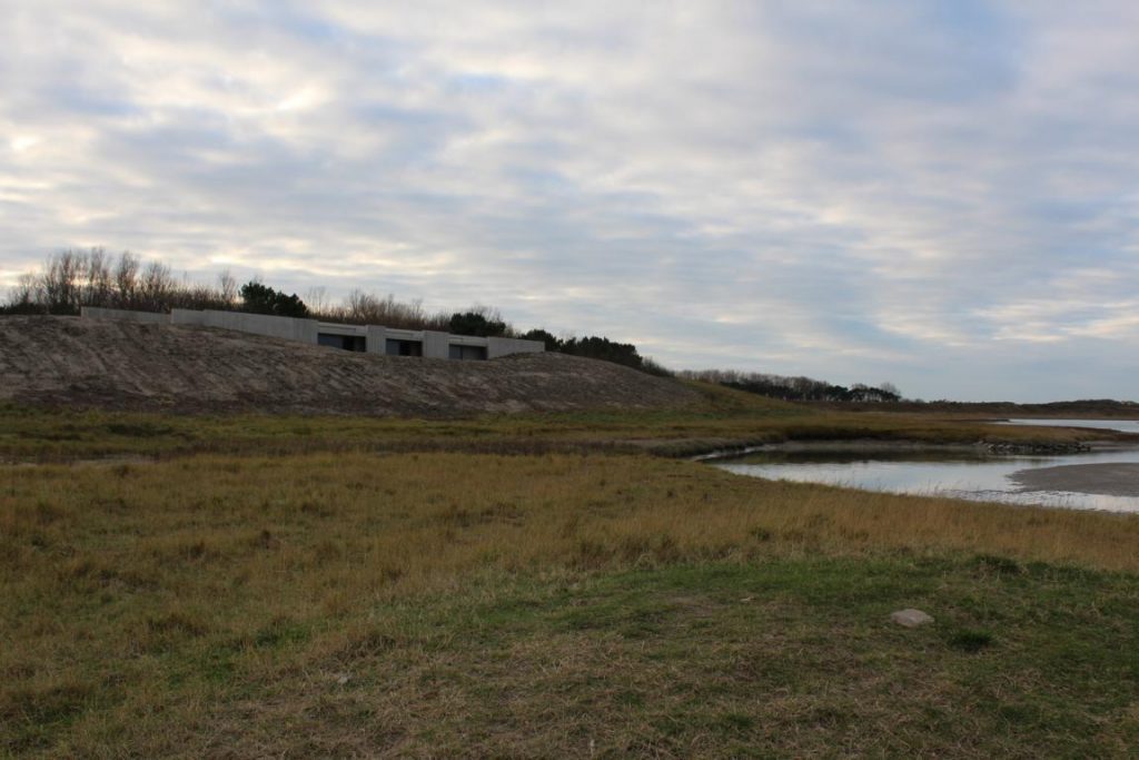 Naturschutzgebiet "Het Zwin" Cadzand-Bad - Breskens - Urlaub an ...