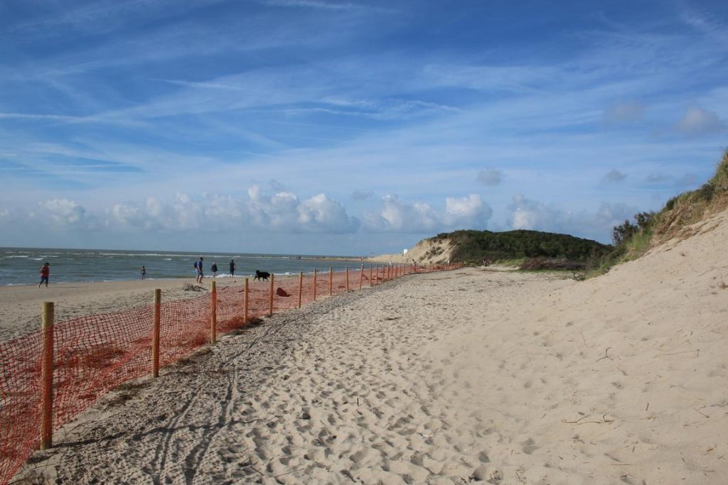 Naturschutzgebiet "Het Zwin" in Vergrößerung - Breskens - Urlaub an ...